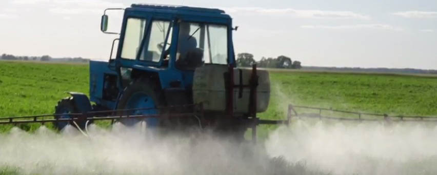 Spray Today? | Herbicide Stewardship